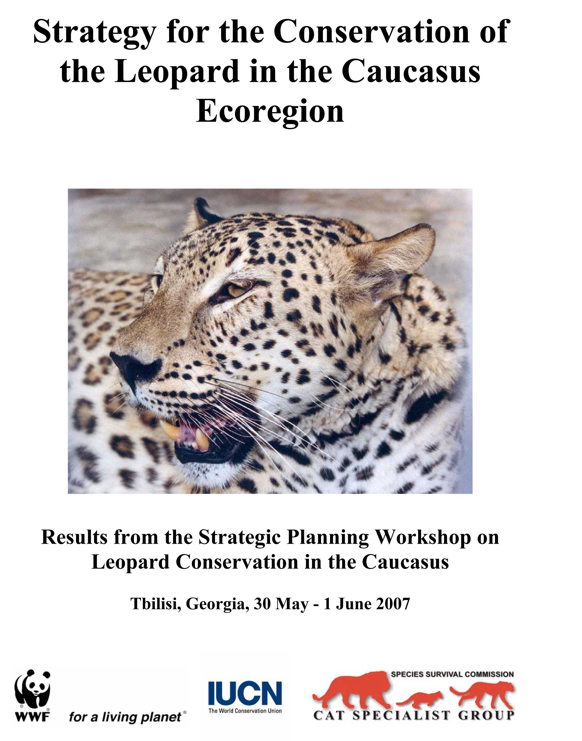 Kafkasya Leopar Koruma Stratejisi | WWF